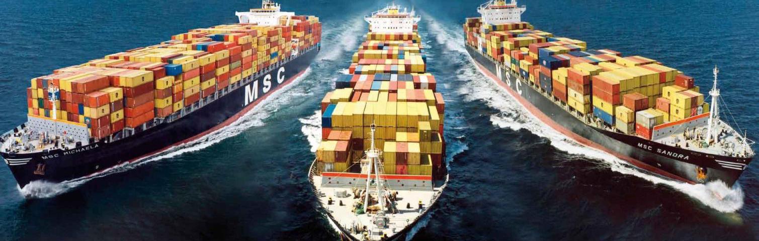 Safeguard Relief – An Integral Part of the Global Trading System ...